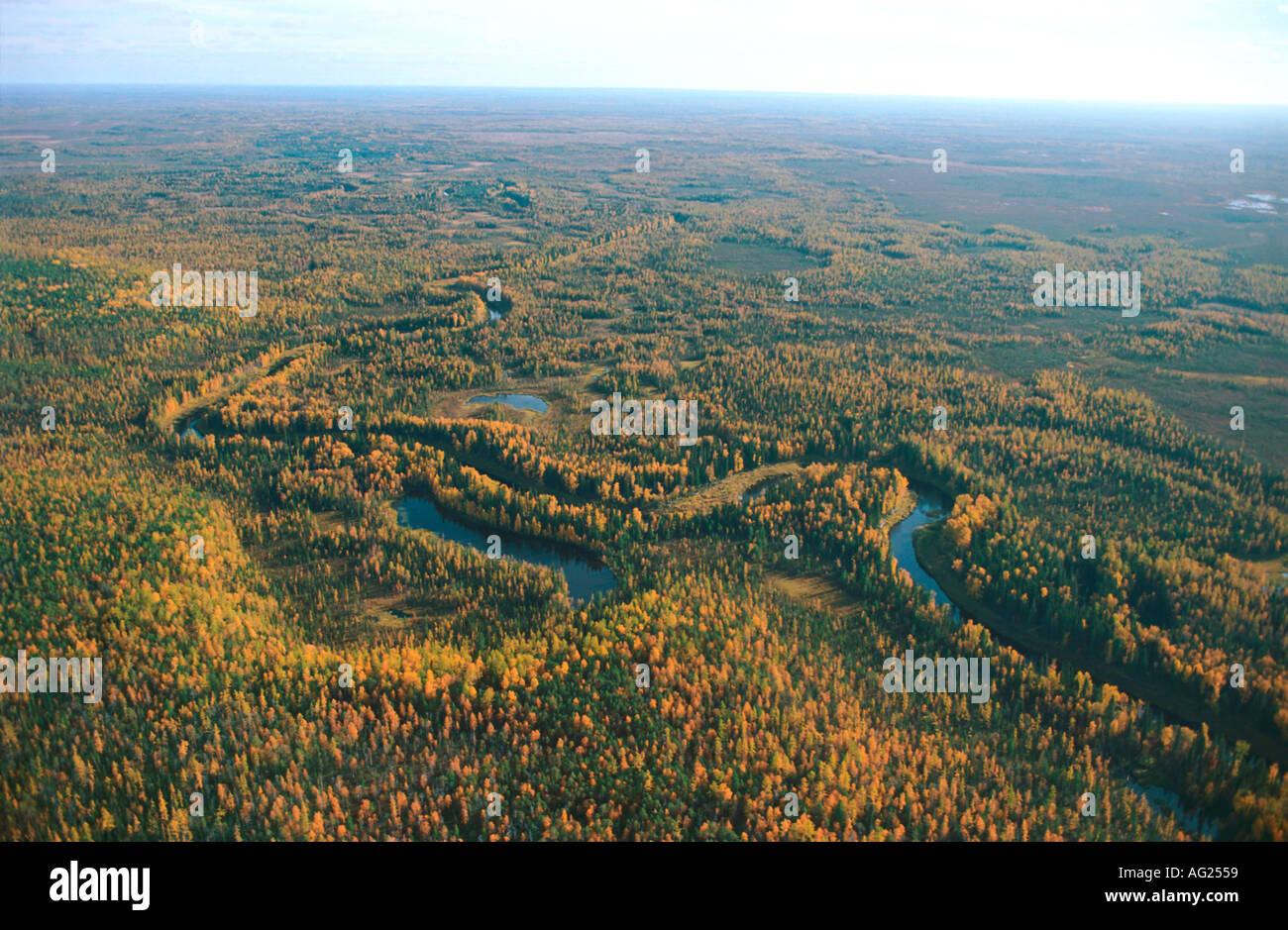 The Western Siberian rivers and taiga taken from a helicopter Stock ...