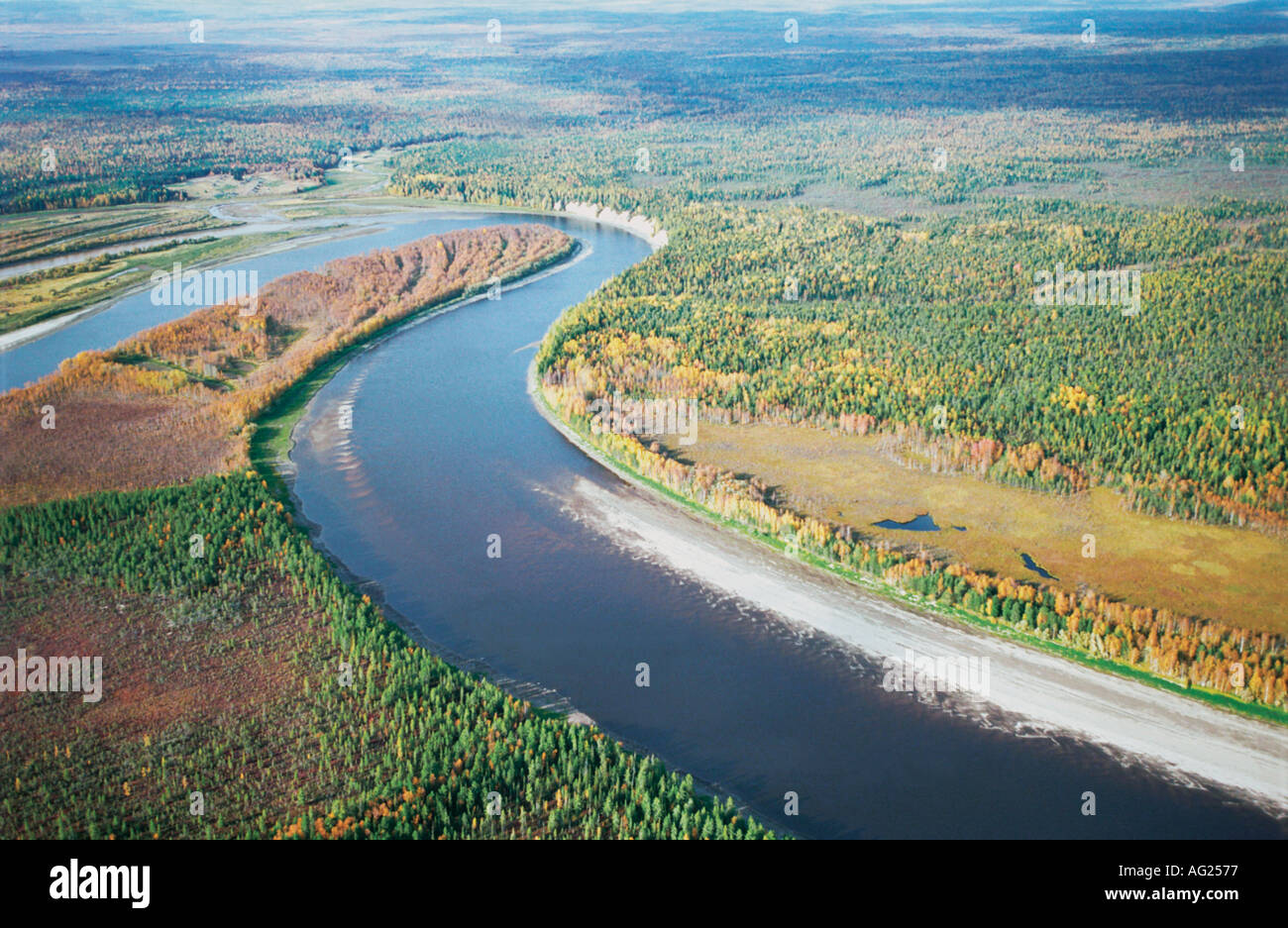 The Western Siberian rivers marshes and taiga taken from a helicopter ...