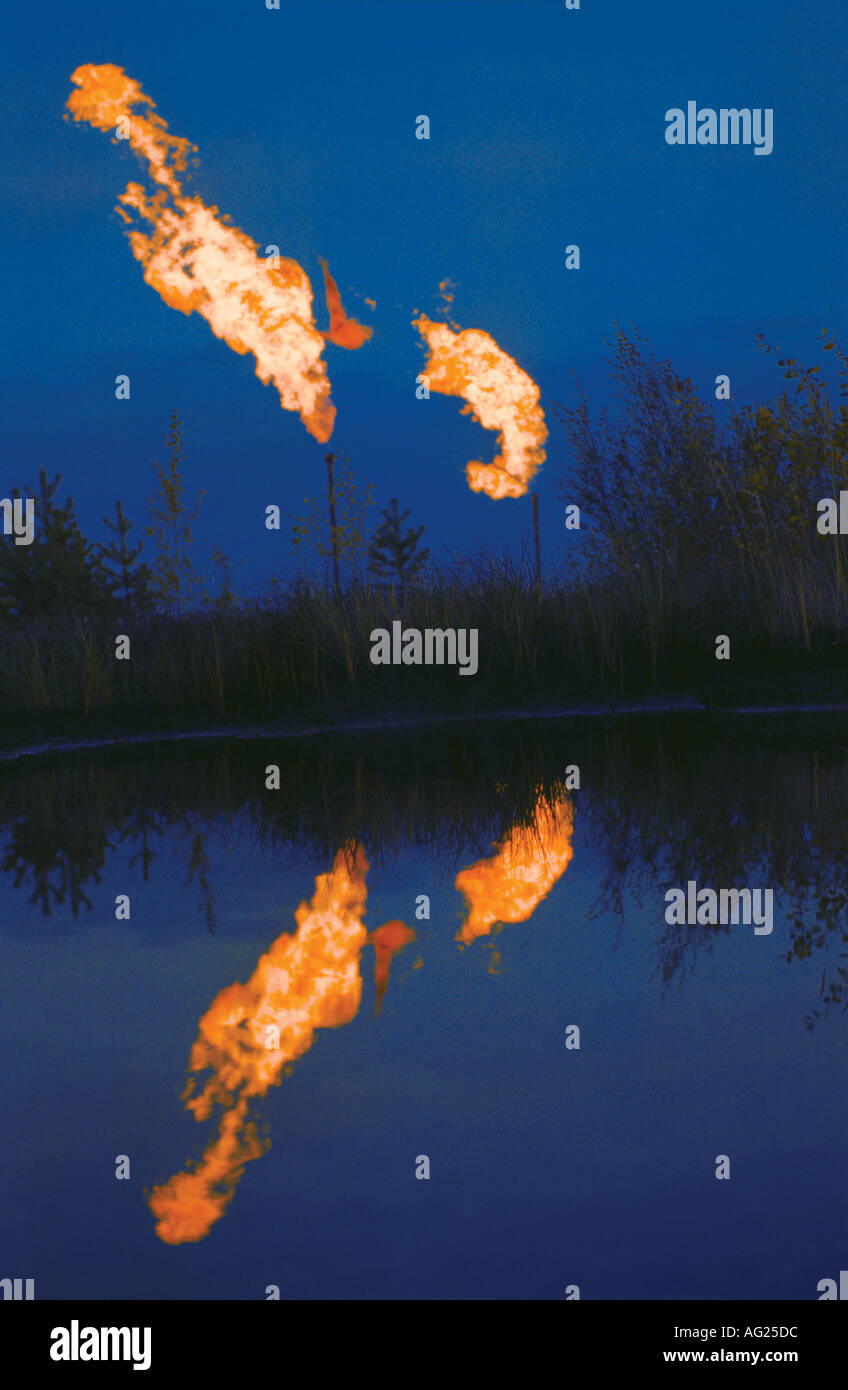 Swamp gas night hi-res stock photography and images - Alamy