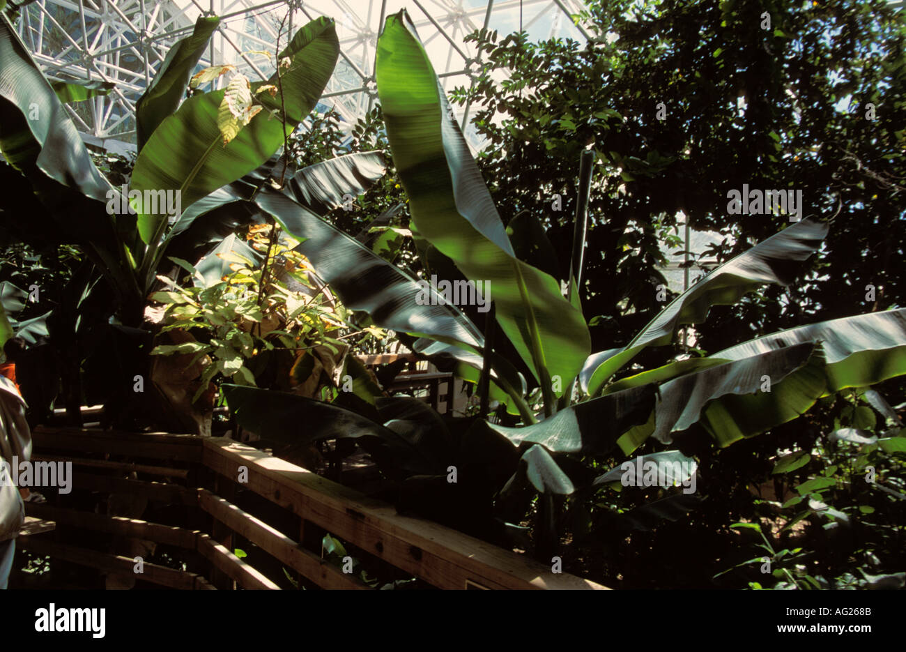 Biosphere 2 Sonoran Desert Arizona USA Interior Stock Photo - Alamy
