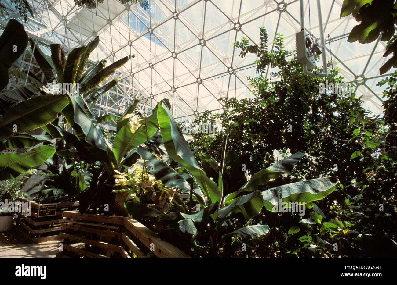 Biosphere 2 interior hi-res stock photography and images - Alamy