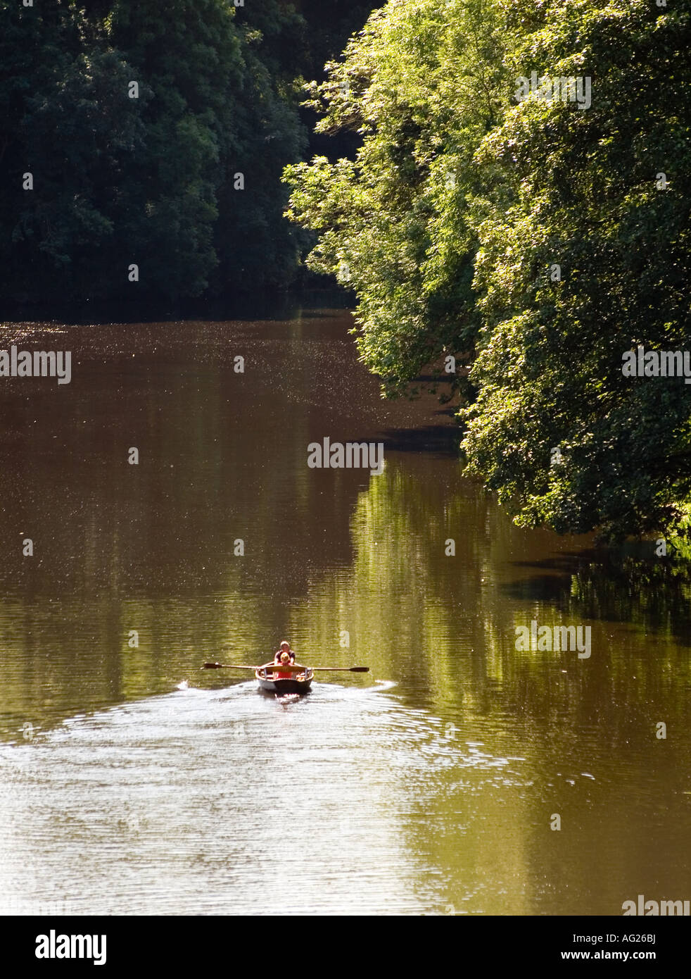 Rowing on a summers afternoon Stock Photo - Alamy