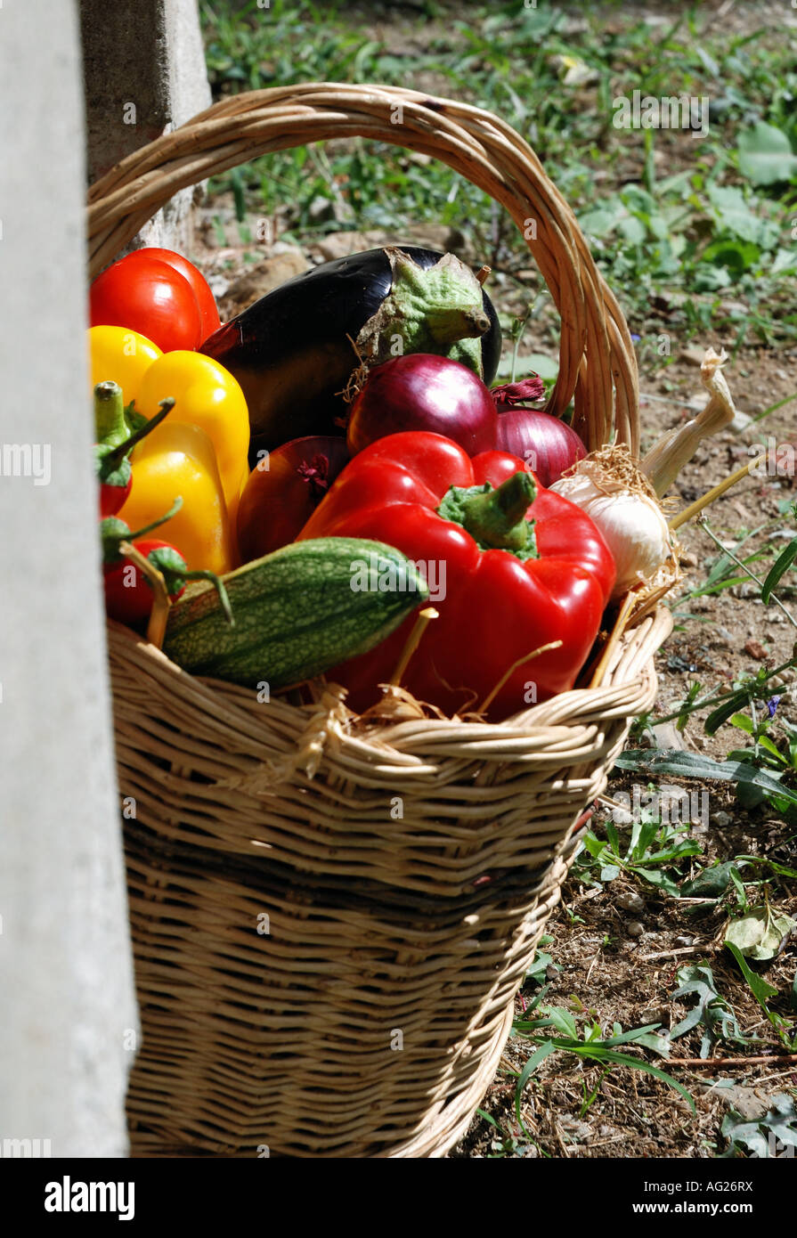 Wicker basket of vegetables Stock Photo - Alamy