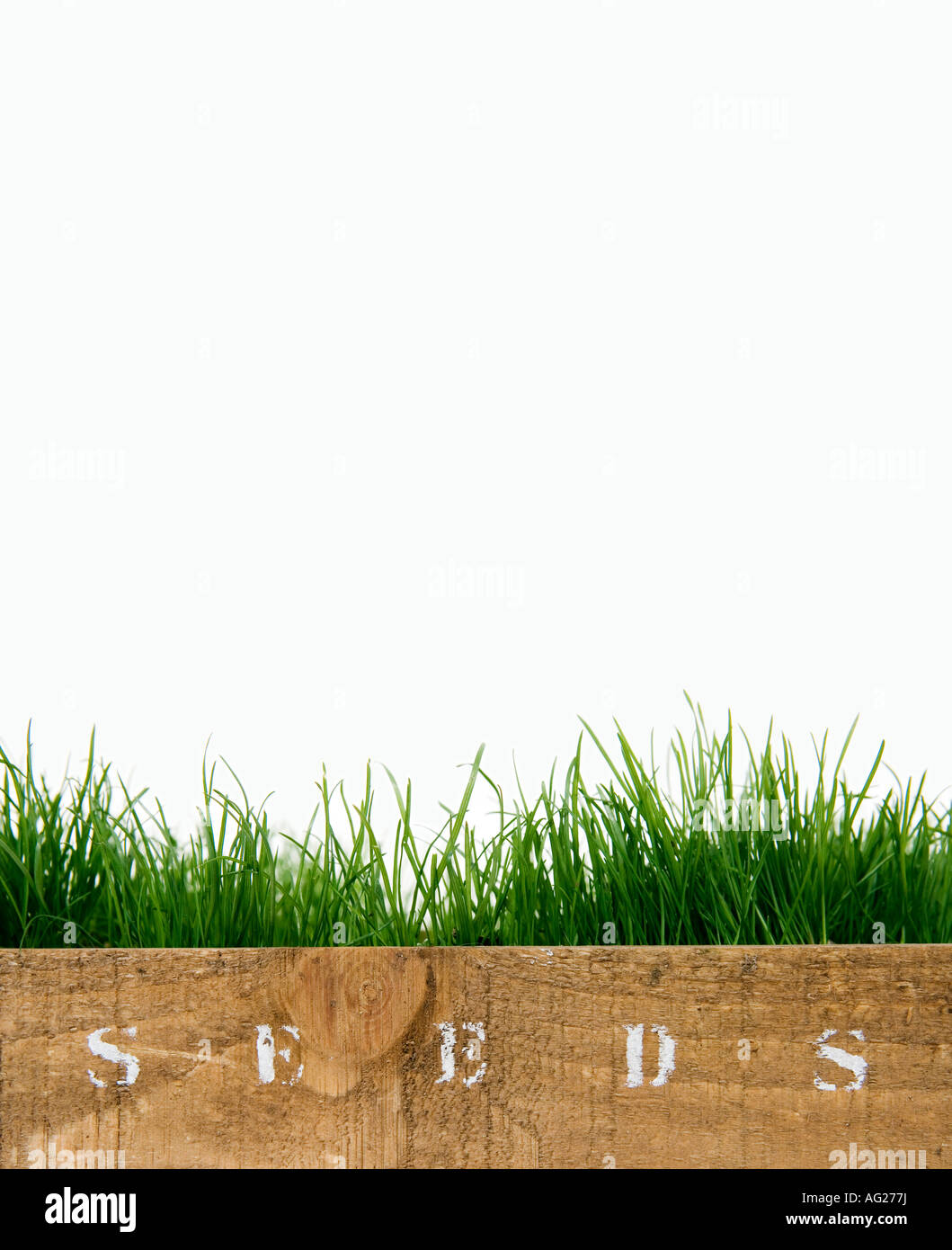 Box of lawn seed hi-res stock photography and images - Alamy
