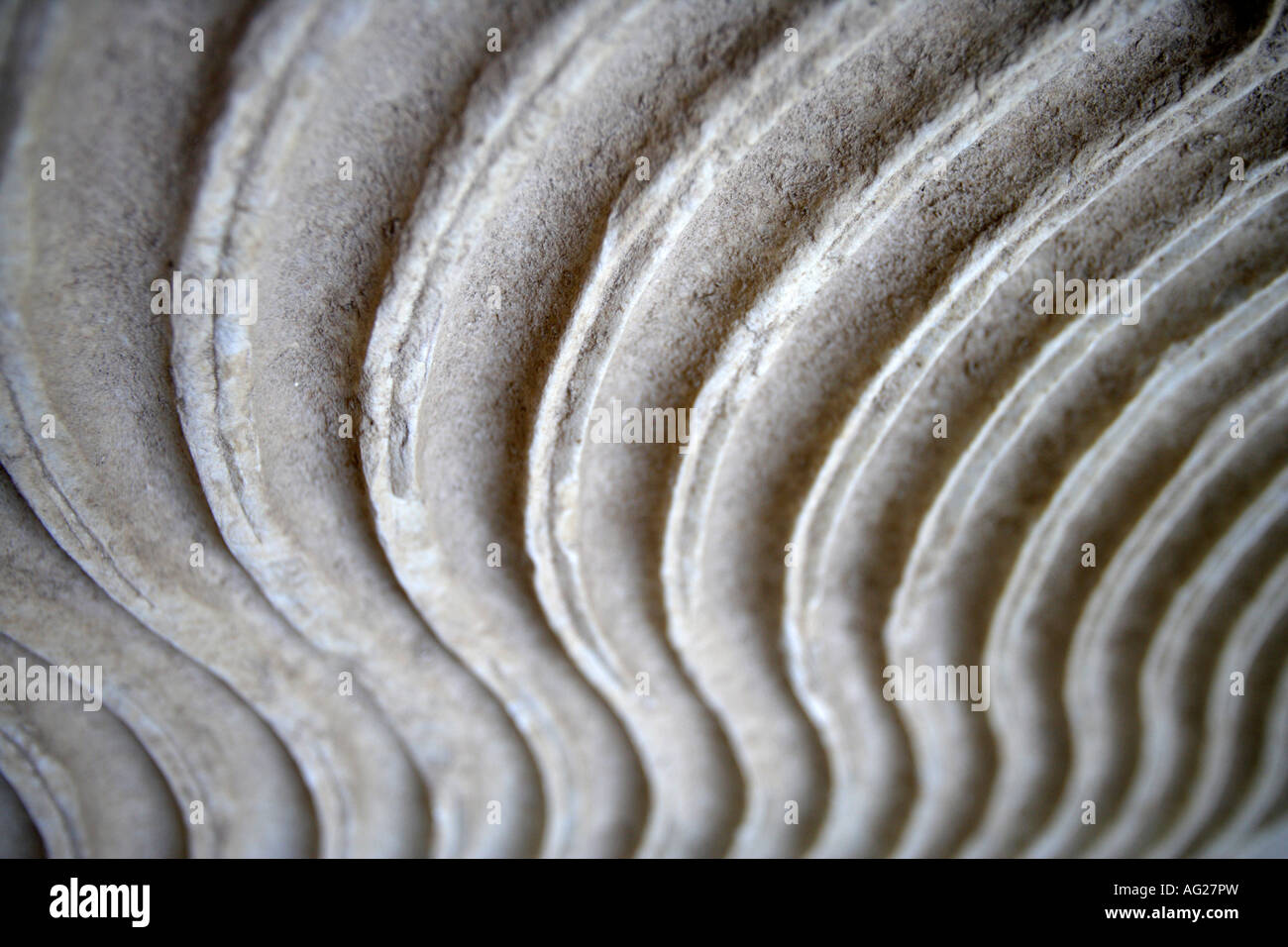 Close Up of Original Roman Carved Marble Water Trough, Ostia Antica ...