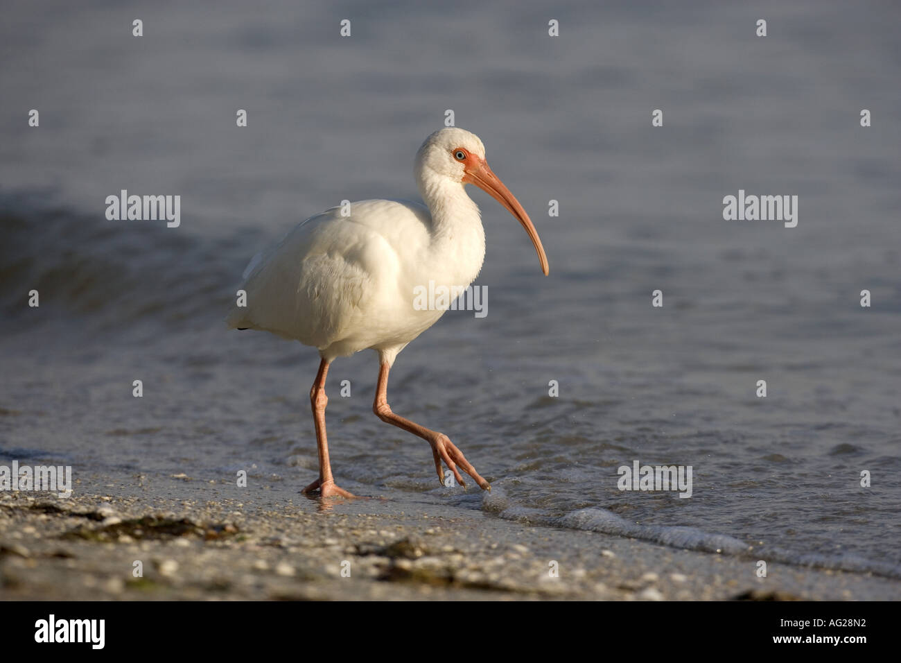 North american indian painting hi-res stock photography and images - Alamy