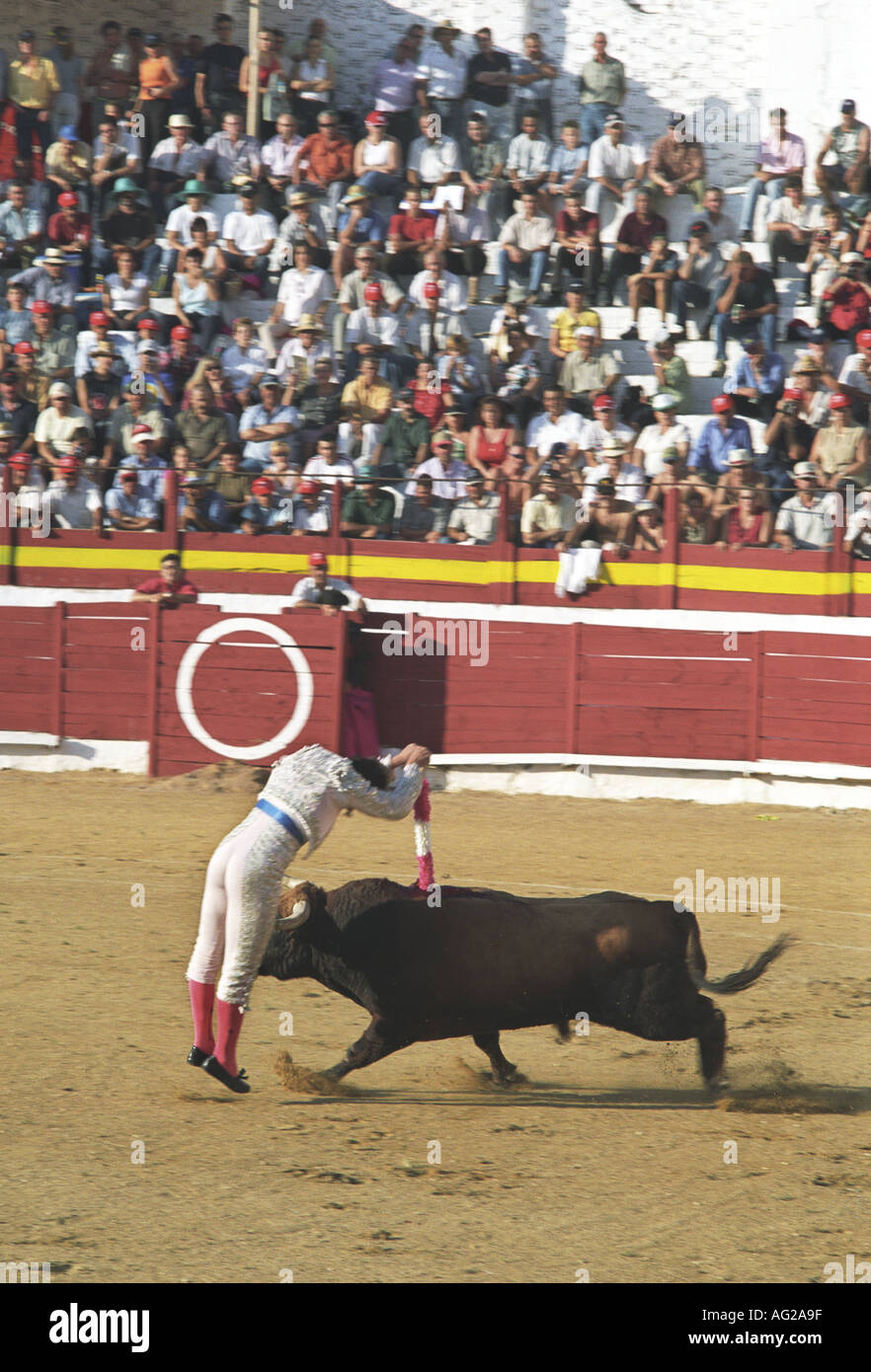 Banderillero attacking bull during a Bullfight Cazorla Spain Stock ...