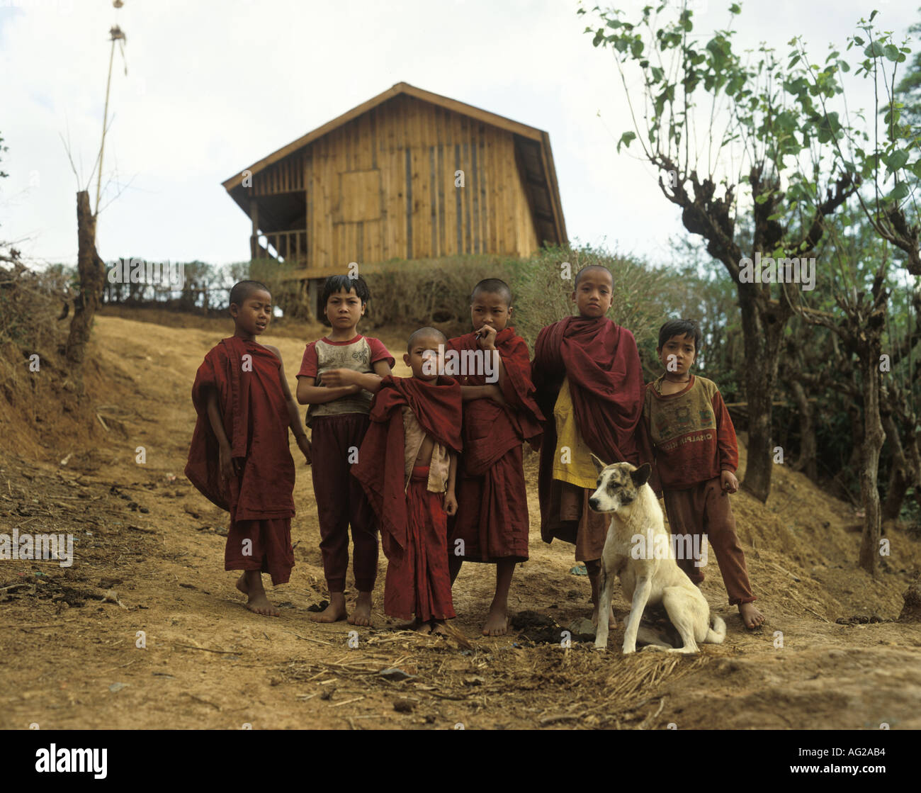 Tribal boys with dog Burma Myanmar Stock Photo - Alamy