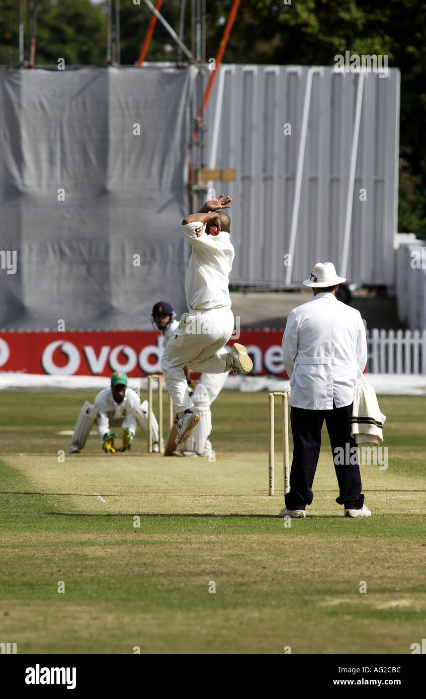 Paul adams cricket hi-res stock photography and images - Alamy