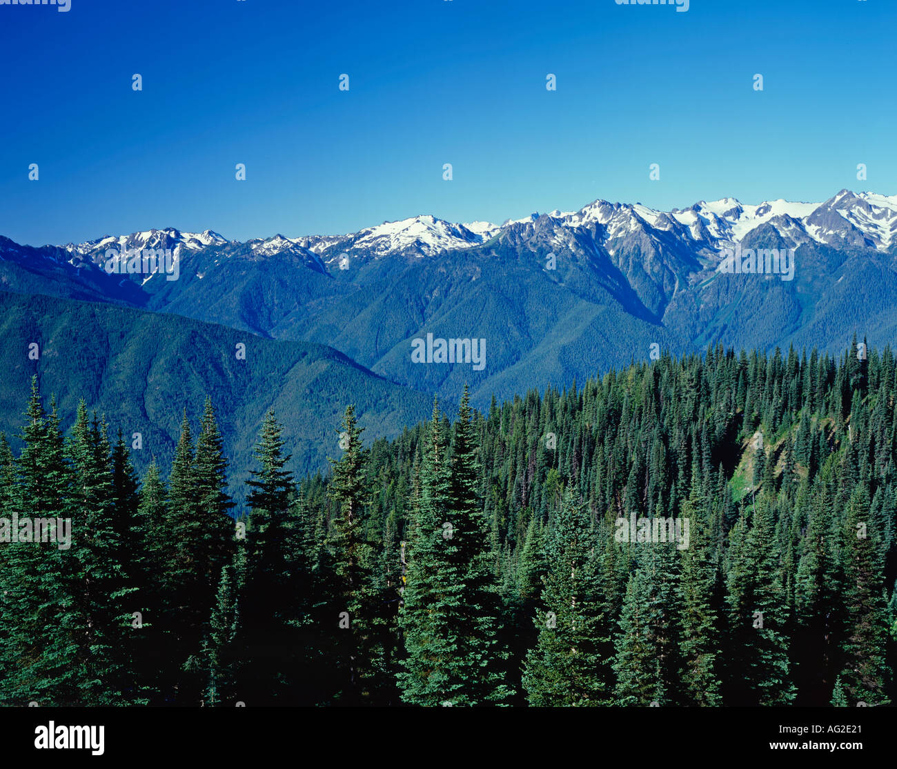 Hurricane ridge washington hi-res stock photography and images - Alamy