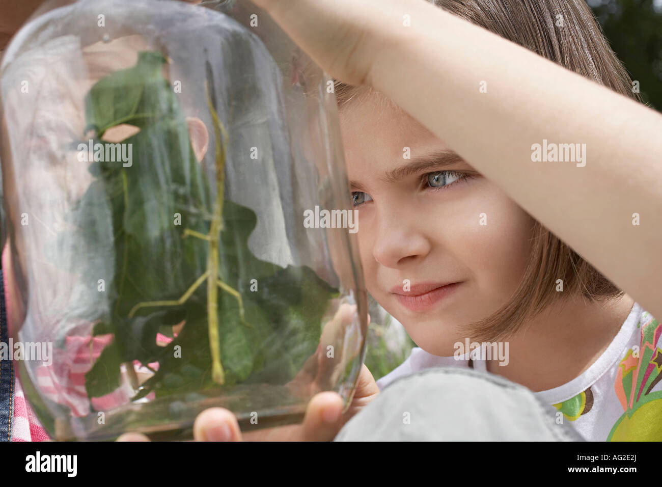 Girl (7-9) examining stick insects in jar, close-up Stock Photo - Alamy