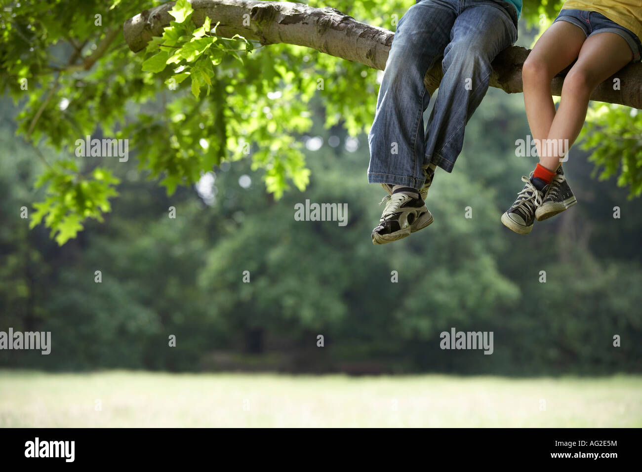 Two children (7-9) sitting in tree, low section Stock Photo - Alamy