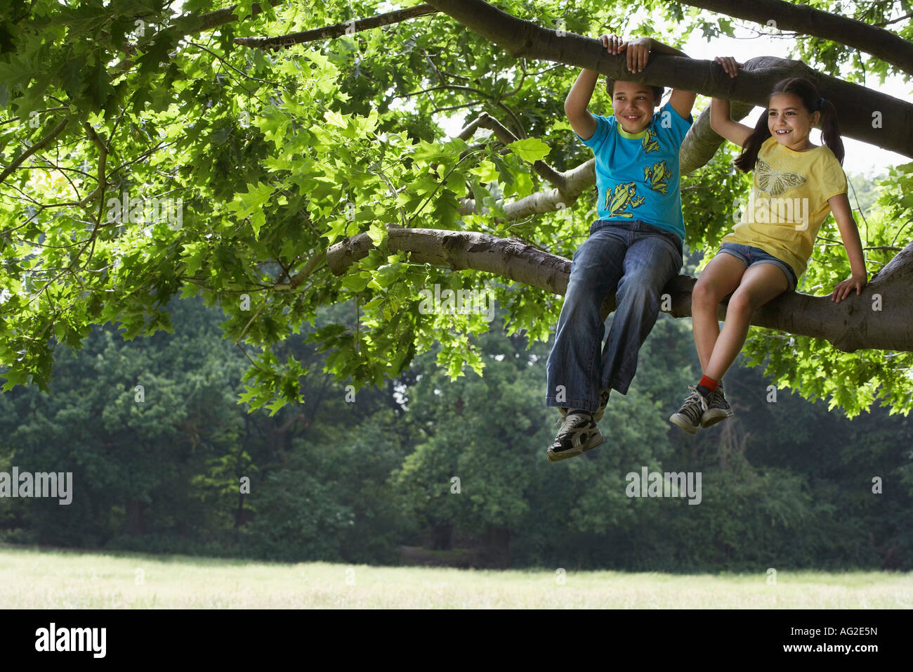 Two children (7-9) sitting in tree Stock Photo - Alamy
