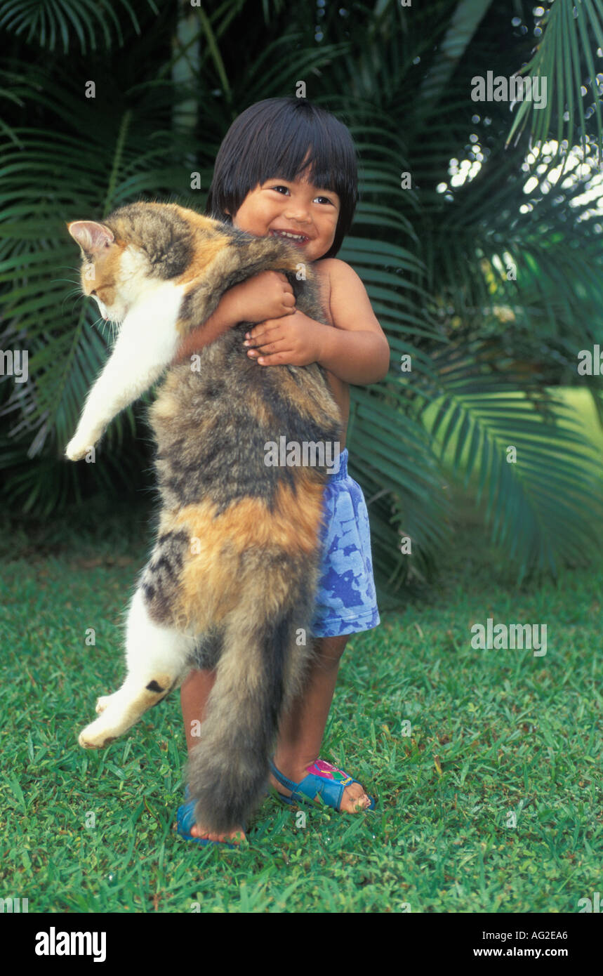 Hawaii Kauai 2 y o Hawaiian boy holding cat MR available Stock Photo ...
