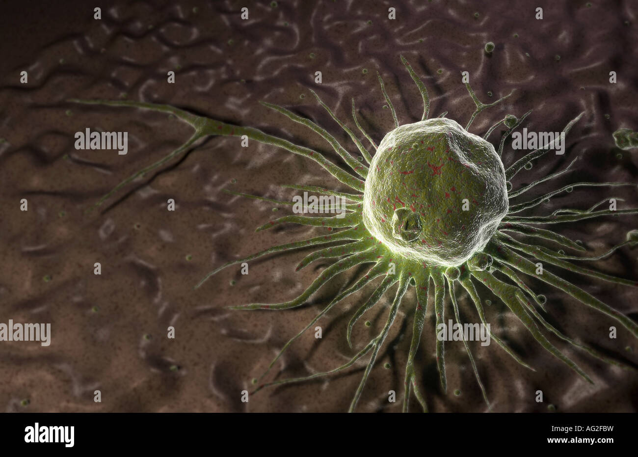 Stem cell processes hi-res stock photography and images - Alamy