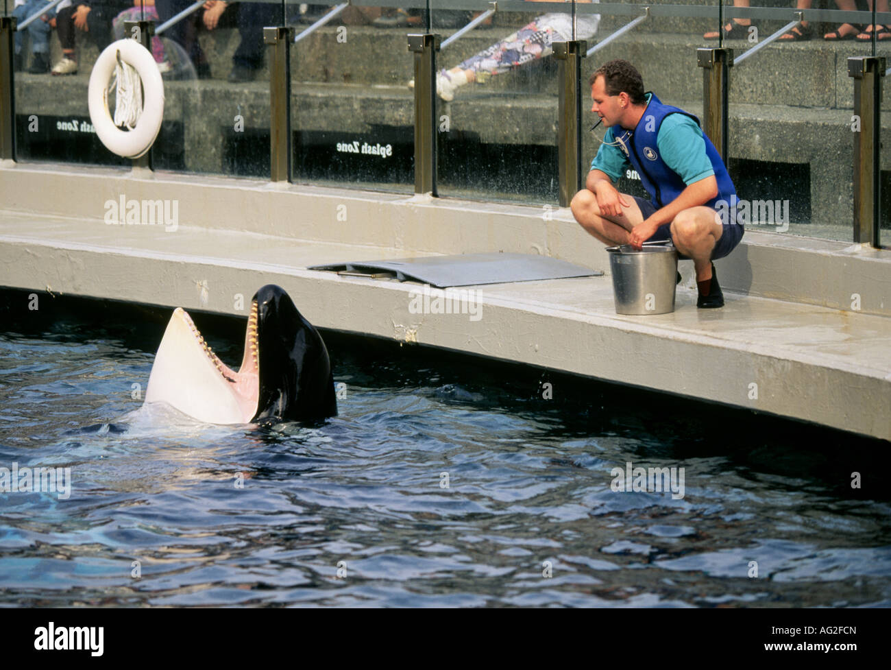 An orca or killer whale performs at the Vancouver Aquarium in Stanley ...
