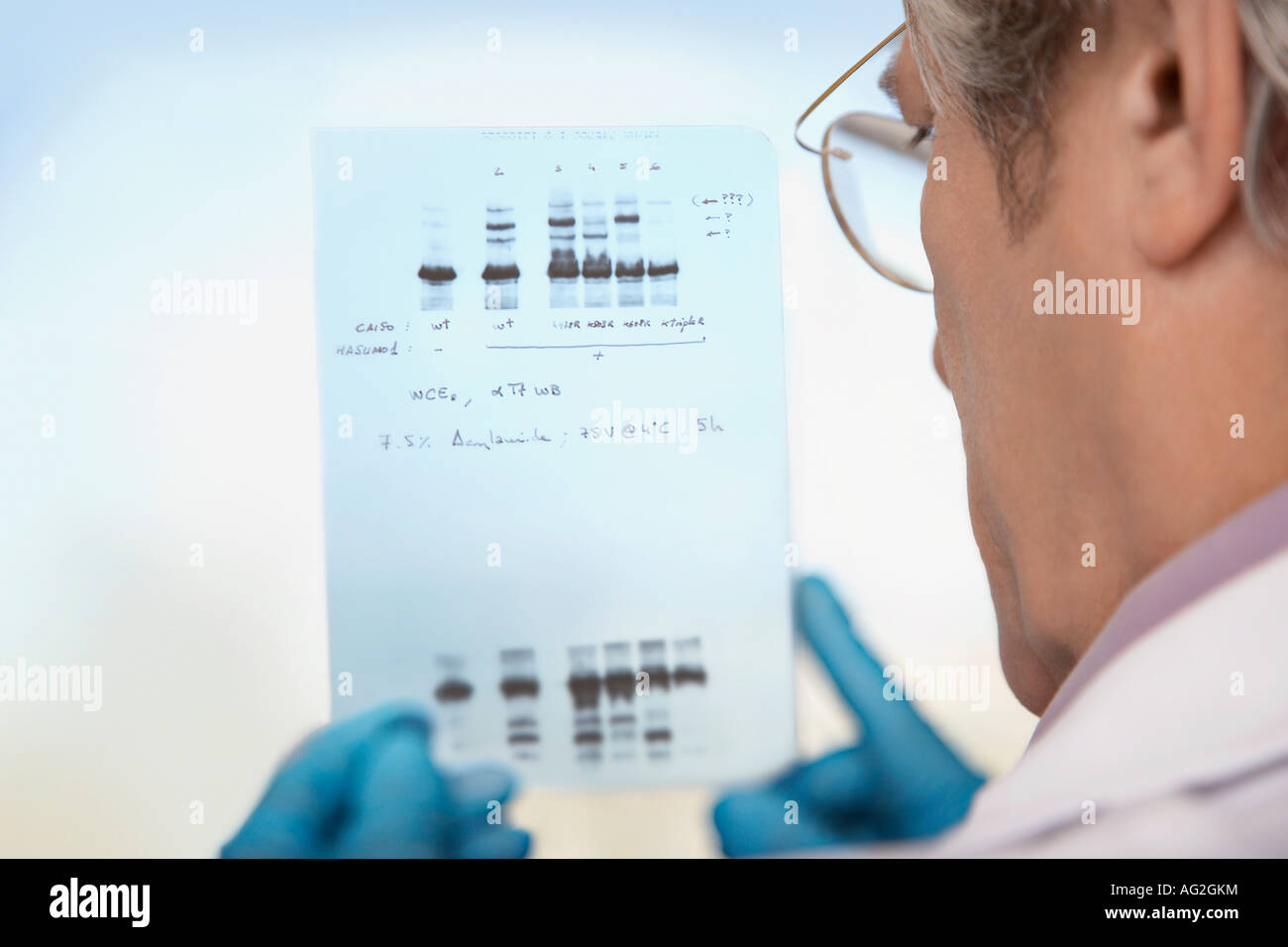Scientist looking at DNA test results indoors Stock Photo - Alamy