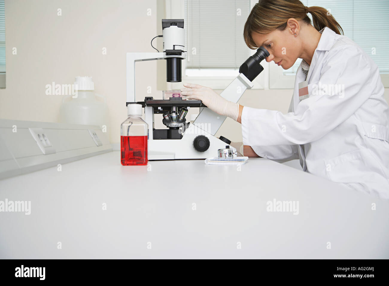 Scientist using microscope in laboratory Stock Photo - Alamy