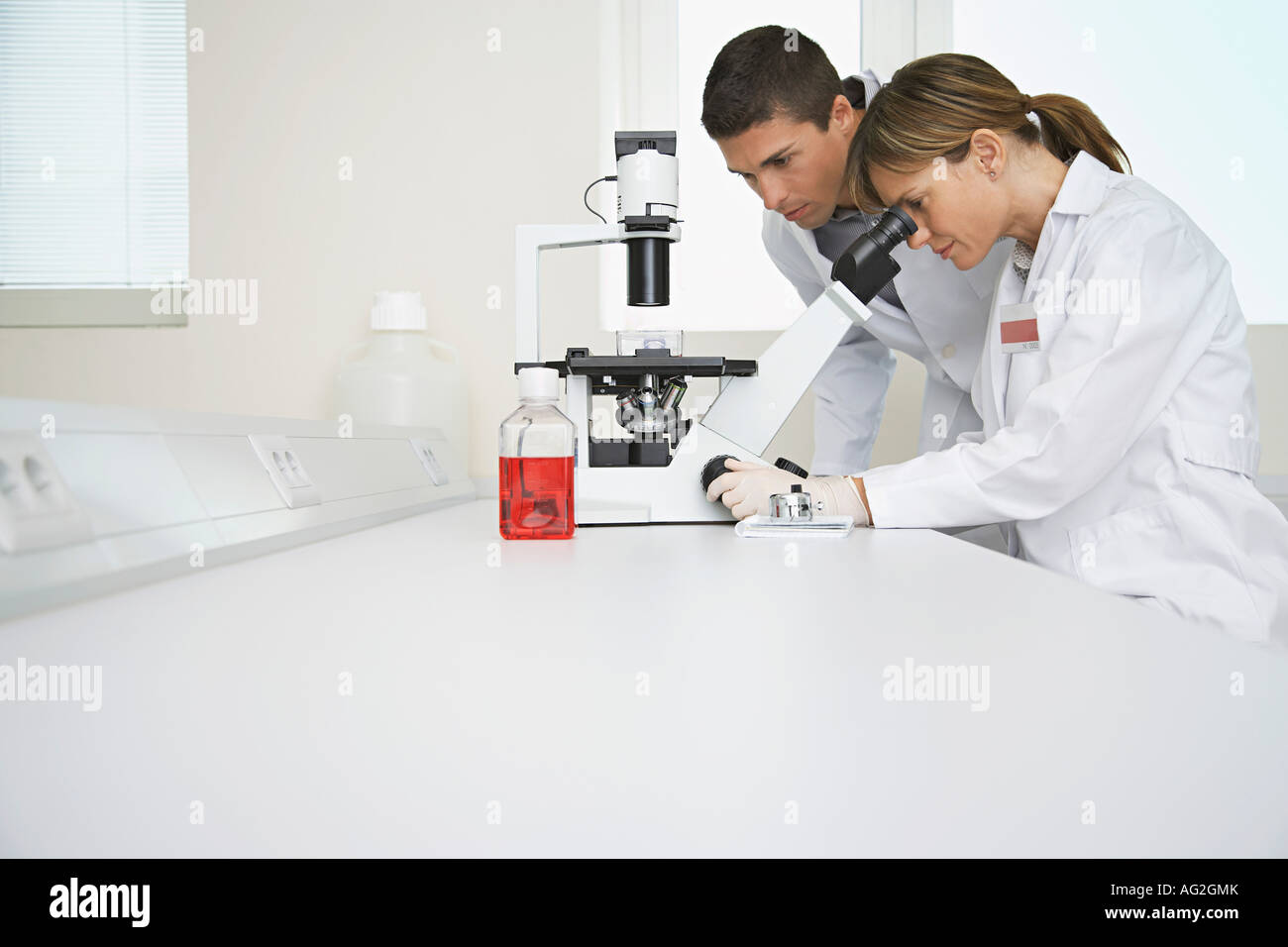 Two scientists using microscope in laboratory Stock Photo - Alamy