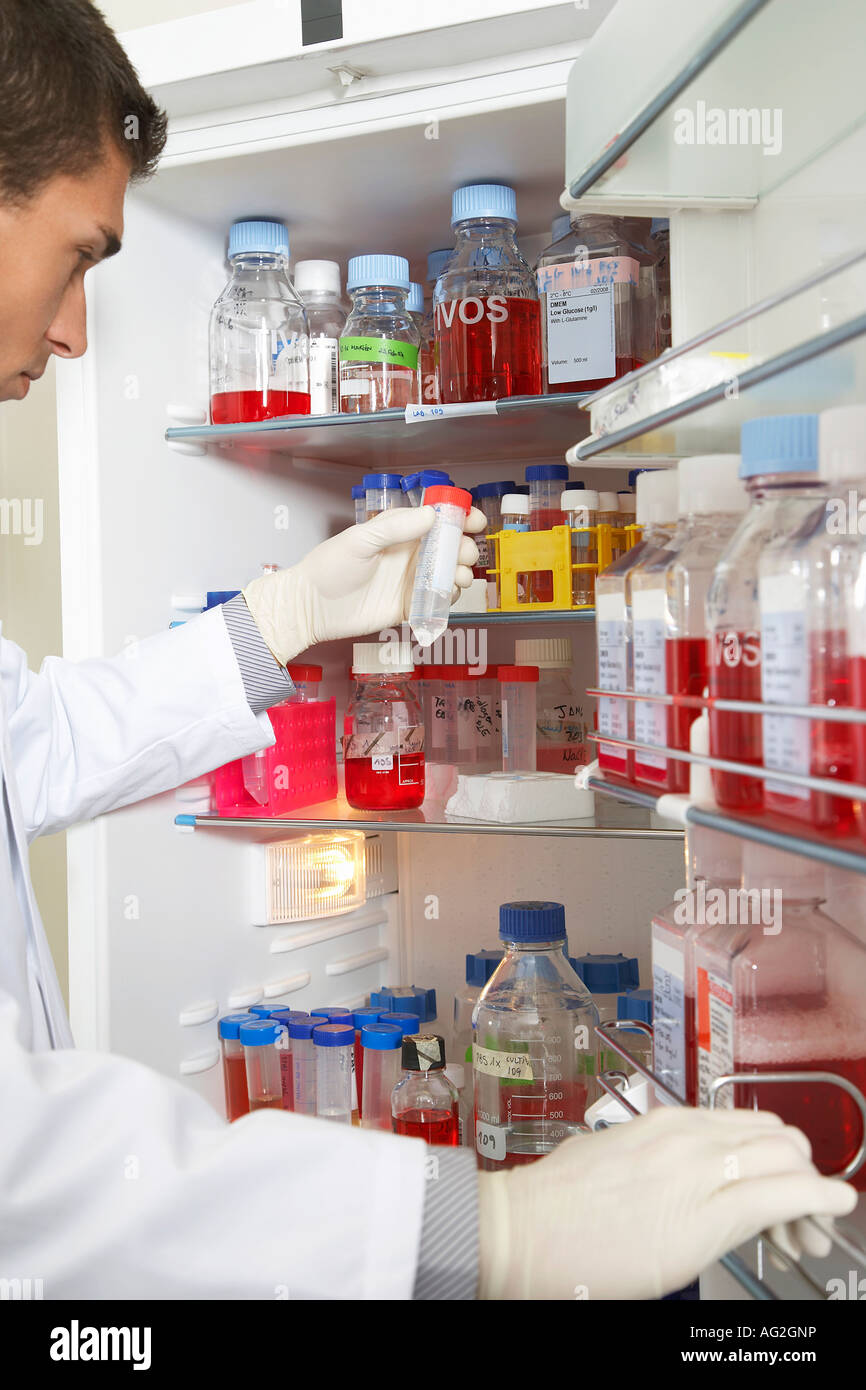 Scientist selecting bottle from refrigerator in laboratory Stock Photo ...