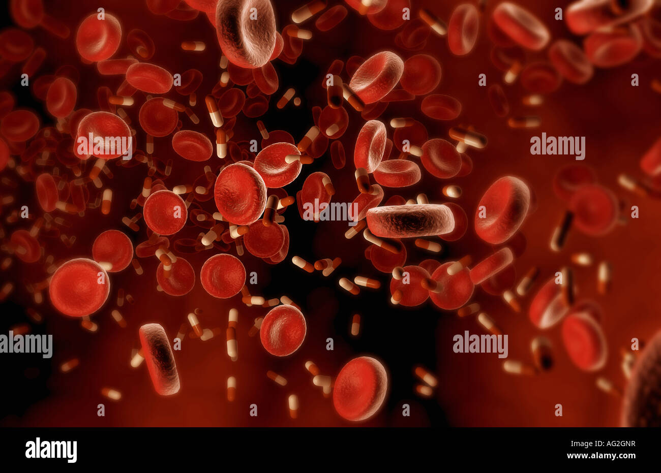 Drug absorption Stock Photo - Alamy