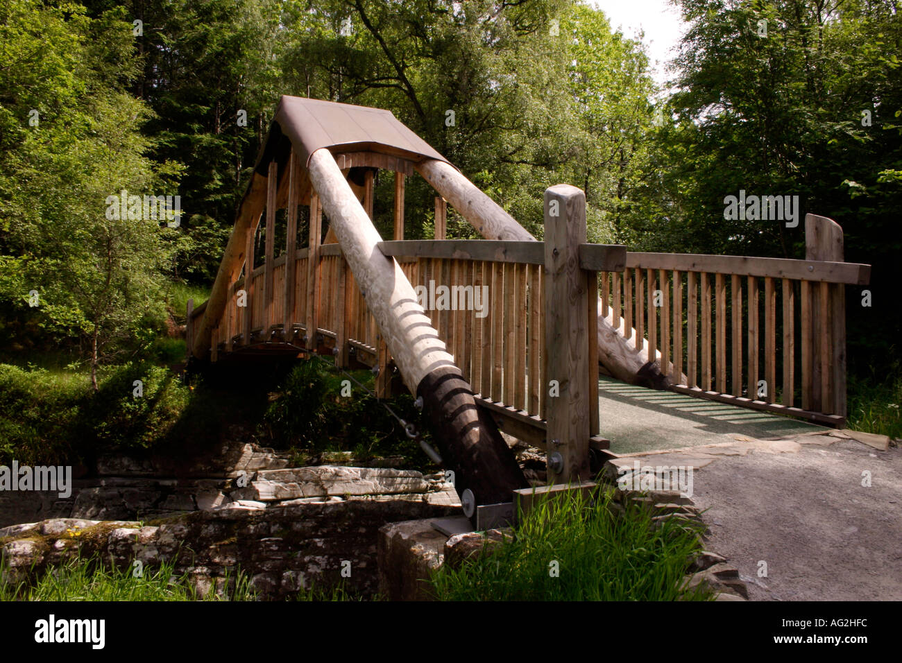 Rannock forest hi-res stock photography and images - Alamy