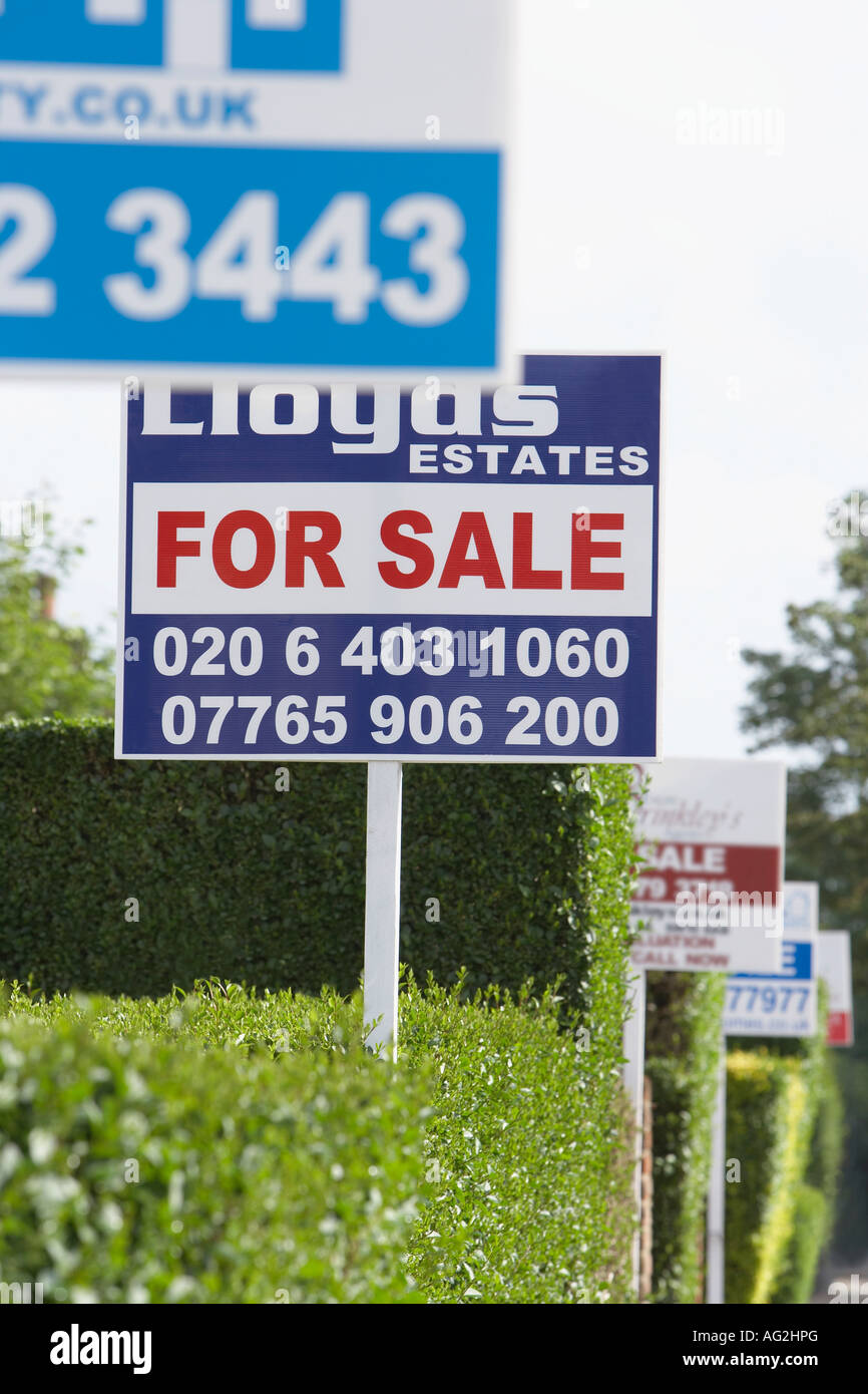 Row of hedges hi-res stock photography and images - Alamy
