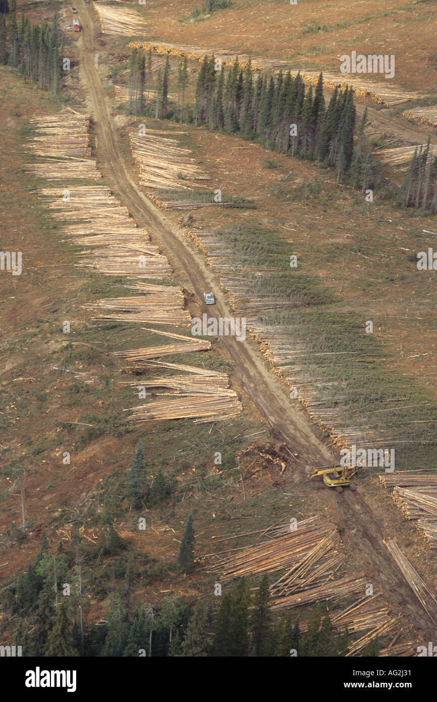 Feller buncher logging viewed from the air Ootsa Lake area British ...