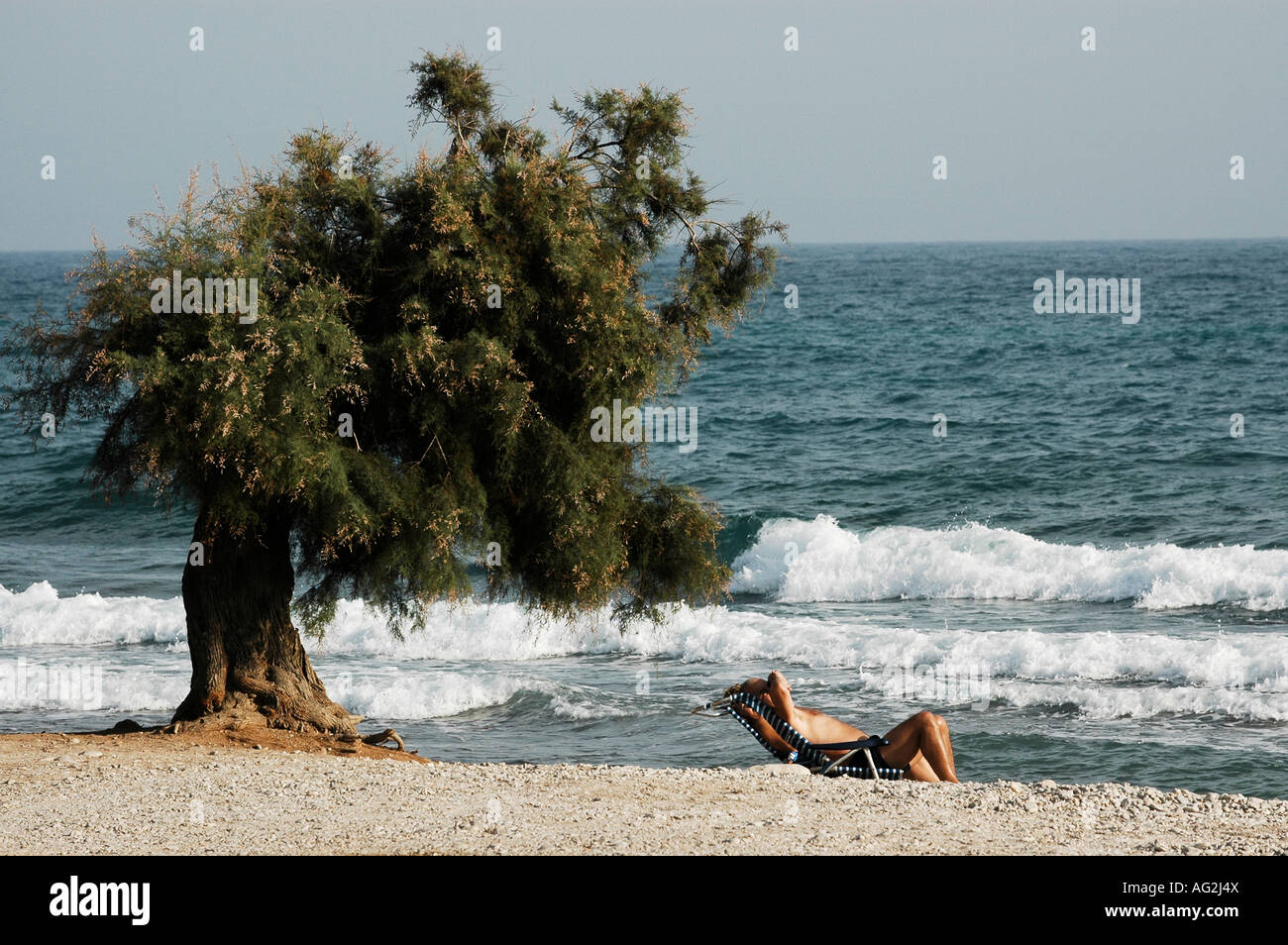 A sunbather relaxes under an olive tree on a shingle beach. Picture ...