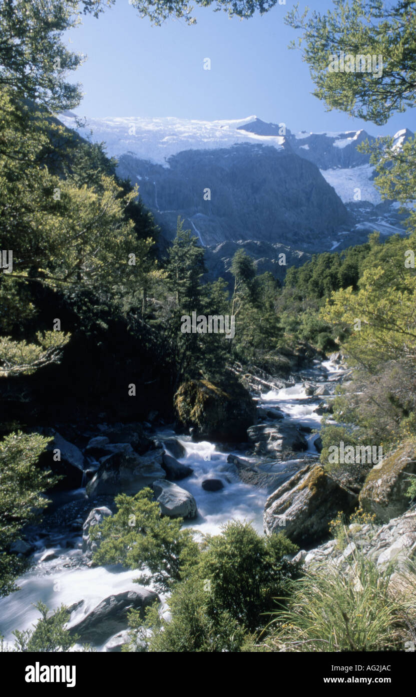 View up the Rob Roy River Valley towards Rob Roy Glacier Mount Aspiring ...