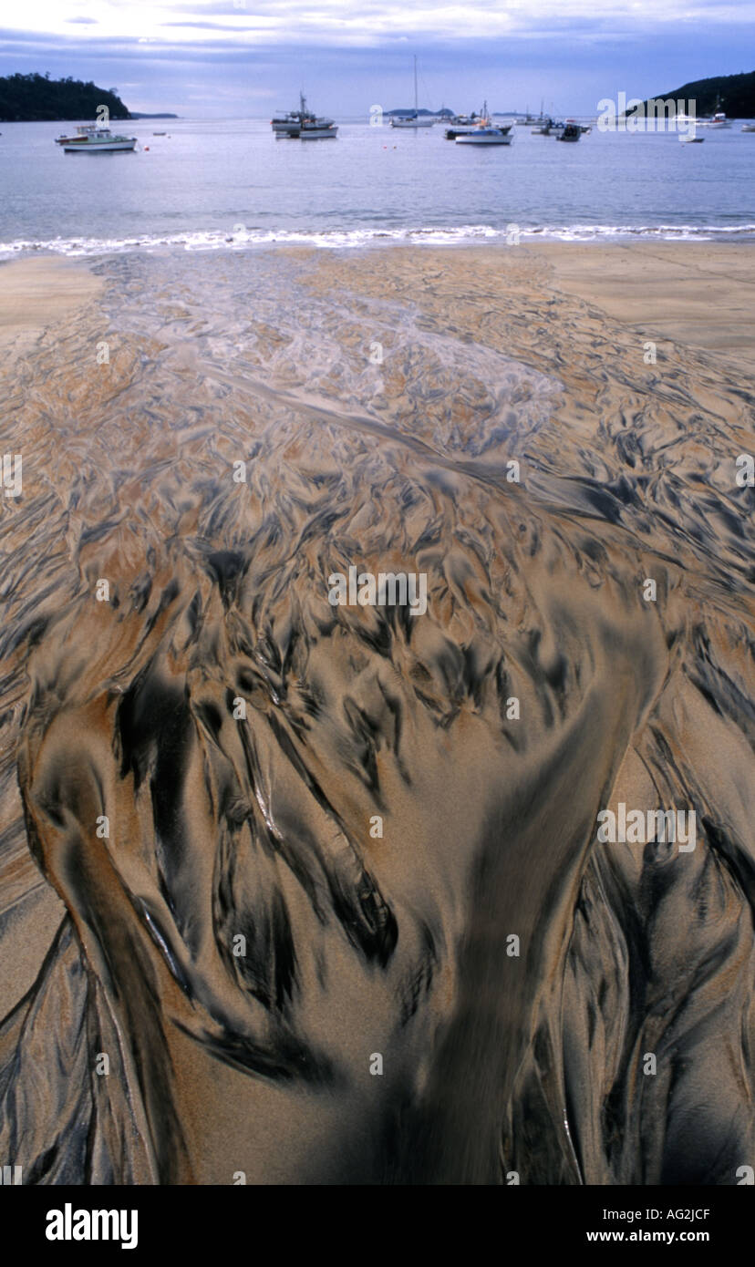 Patterns created by rivulets on sand Oban Bay Stewart Island South ...