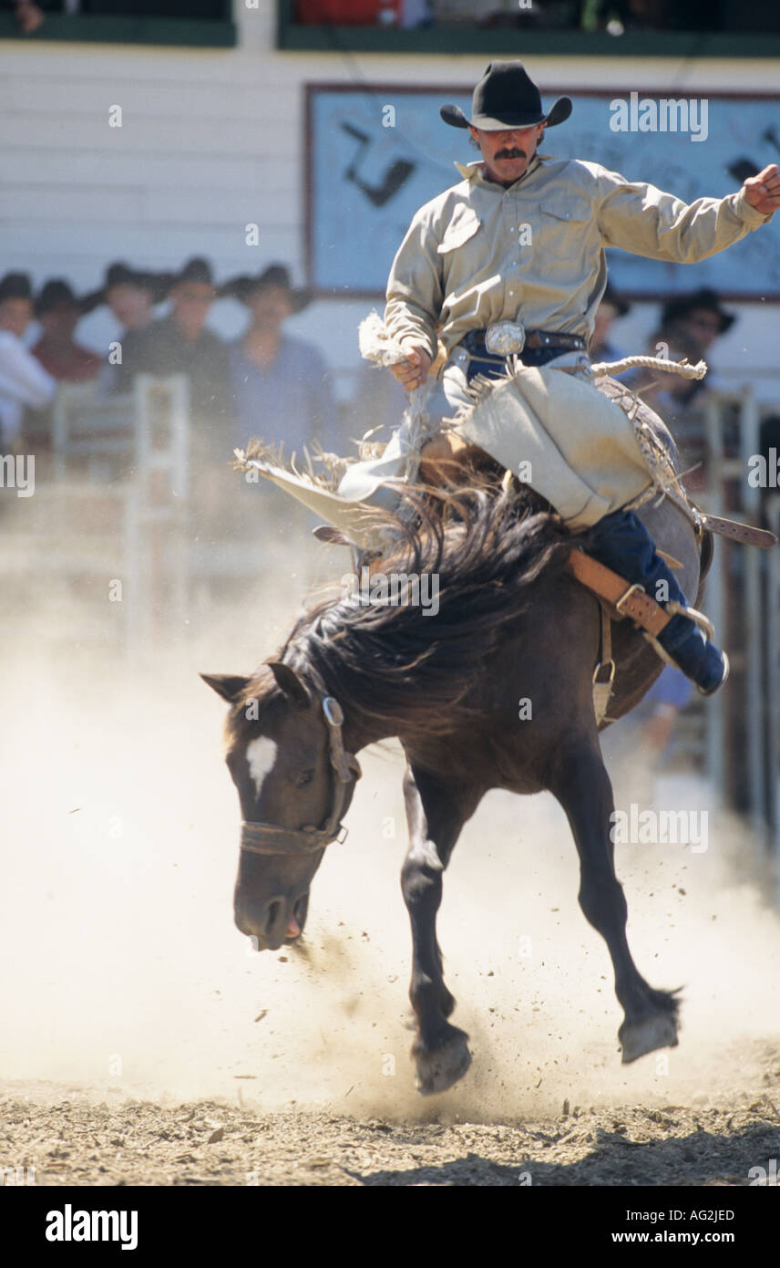 Kispiox British Columbia High Resolution Stock Photography and Images ...