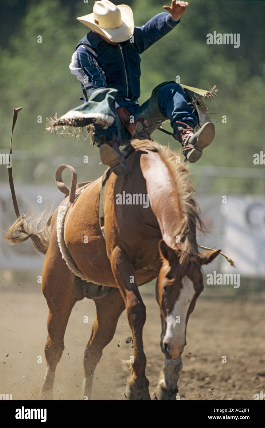 Kispiox british columbia hi-res stock photography and images - Alamy
