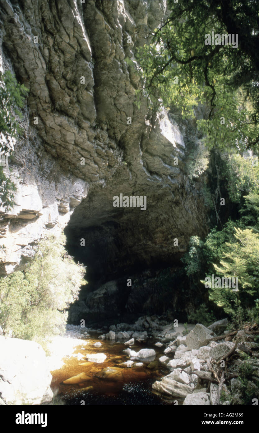The tannin coloured waters of Oparara River and Arch Oparara Basin near ...