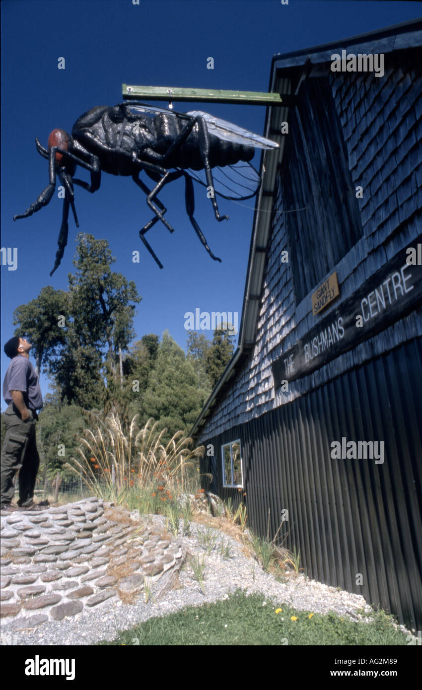 Sandfly Insect Stock Photos & Sandfly Insect Stock Images - Alamy