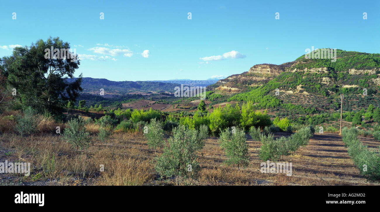 Elia greece hi-res stock photography and images - Alamy