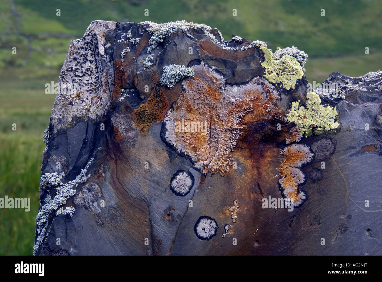 lichen patterns on slate fence post cwmorthin ffestiniog Stock Photo ...