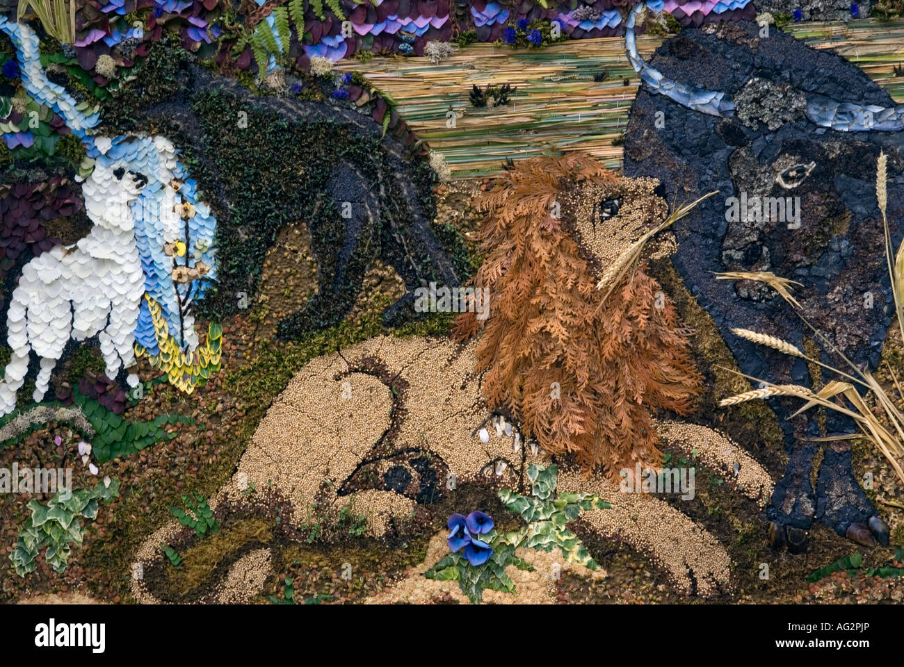 The lion and the lamb, bible hi-res stock photography and images - Alamy