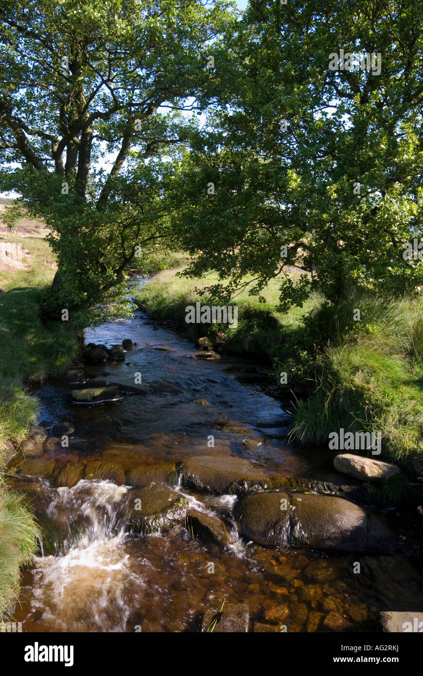 english summer stream Stock Photo - Alamy