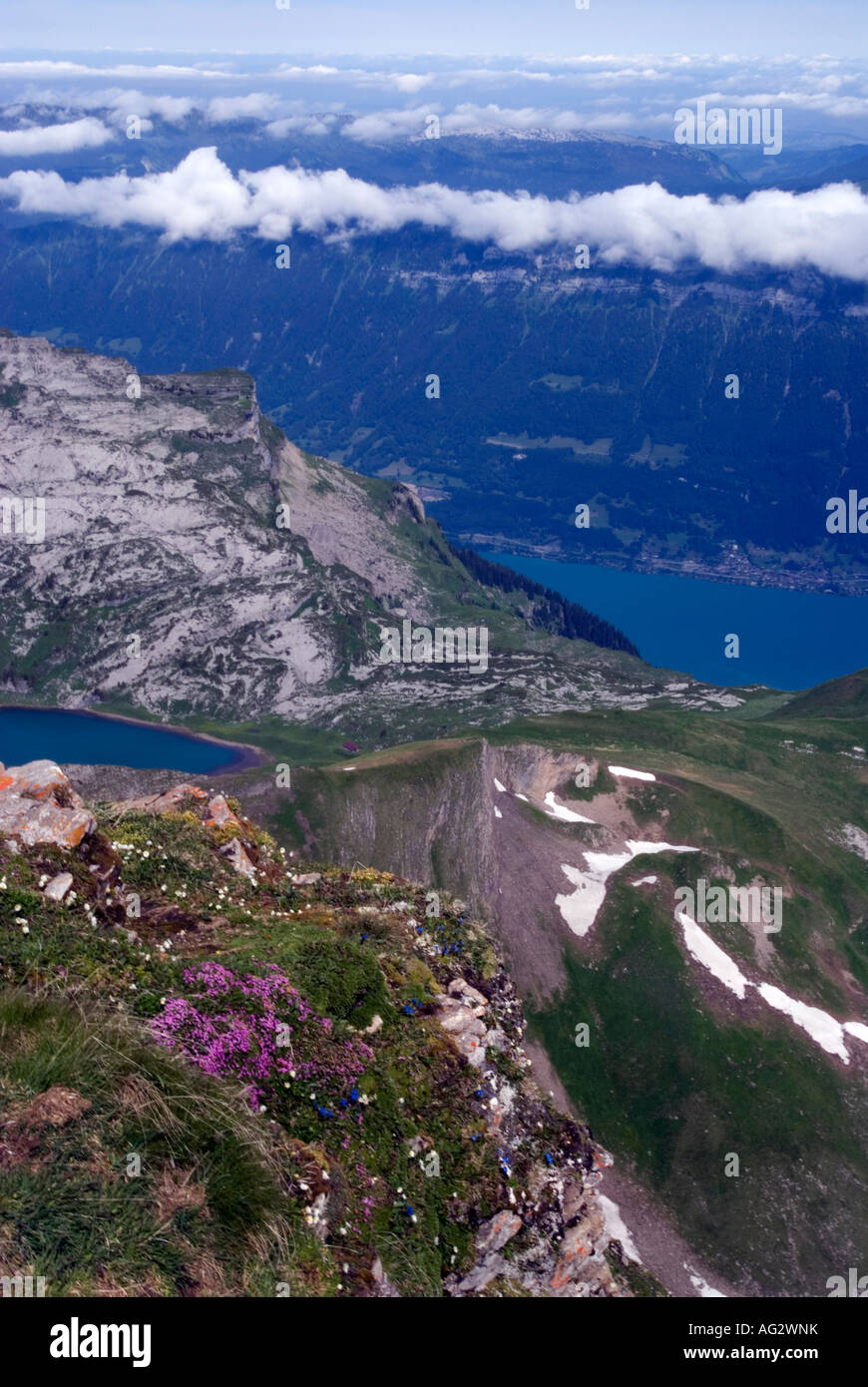 Faulhorn hi-res stock photography and images - Alamy