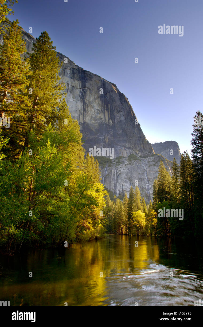 Morning light on trees along the Merced River in spring below El ...