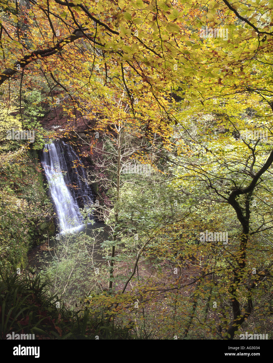 Autumn Falling Foss North Yorkshire Moors UK Stock Photo - Alamy