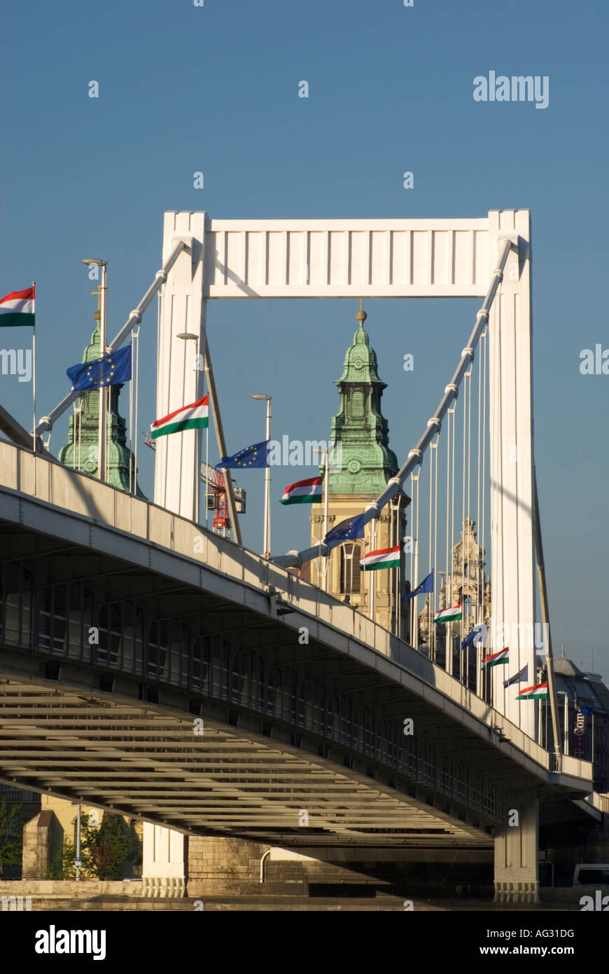 Elizabeth suspension bridge hi-res stock photography and images - Alamy