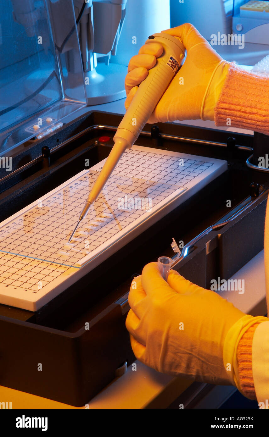 Pipetting in laboratory Stock Photo - Alamy