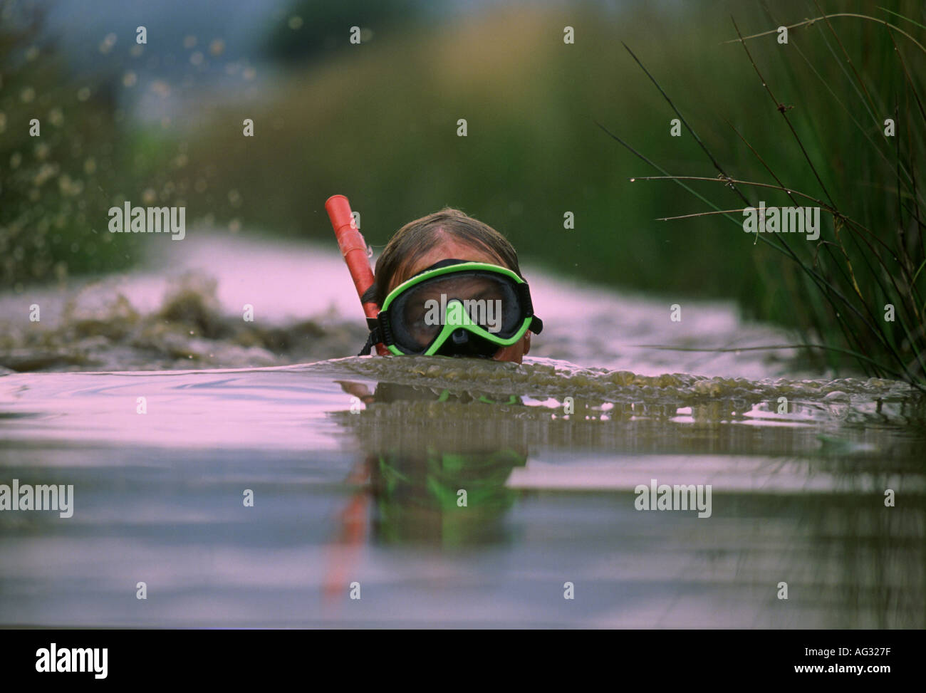 Bog snorkelling hi-res stock photography and images - Alamy