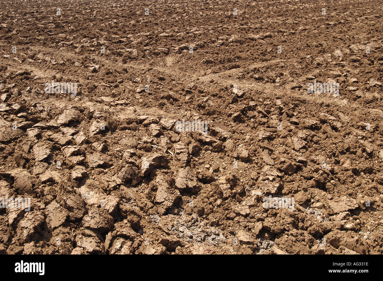 Agriculture Organic crops Gastronomy Mallorca Majorca Spain Europe ...