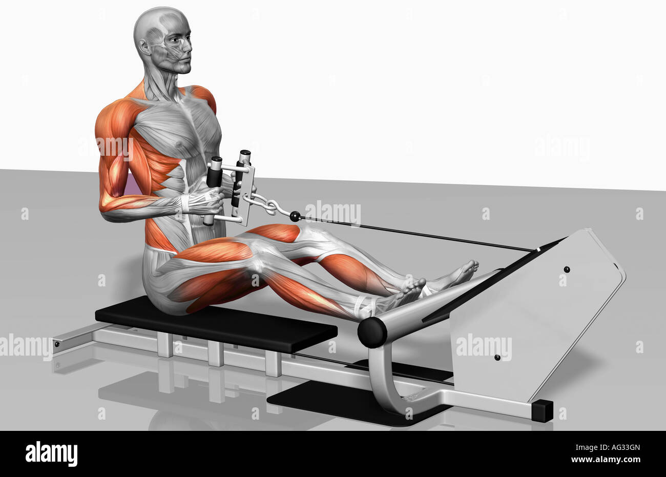 Cable row gym hi-res stock photography and images - Alamy