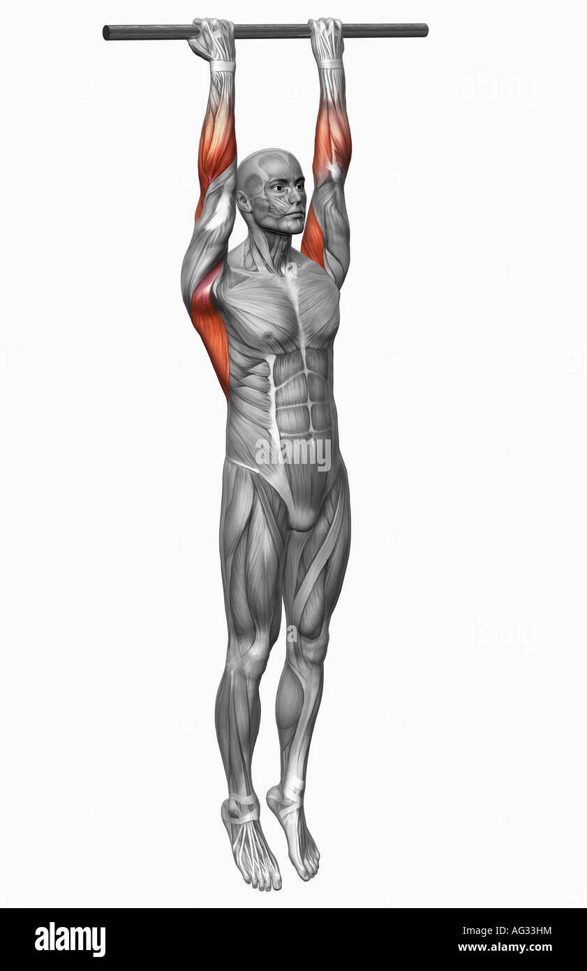 Chin up exercise (Part 2 of 2 Stock Photo - Alamy