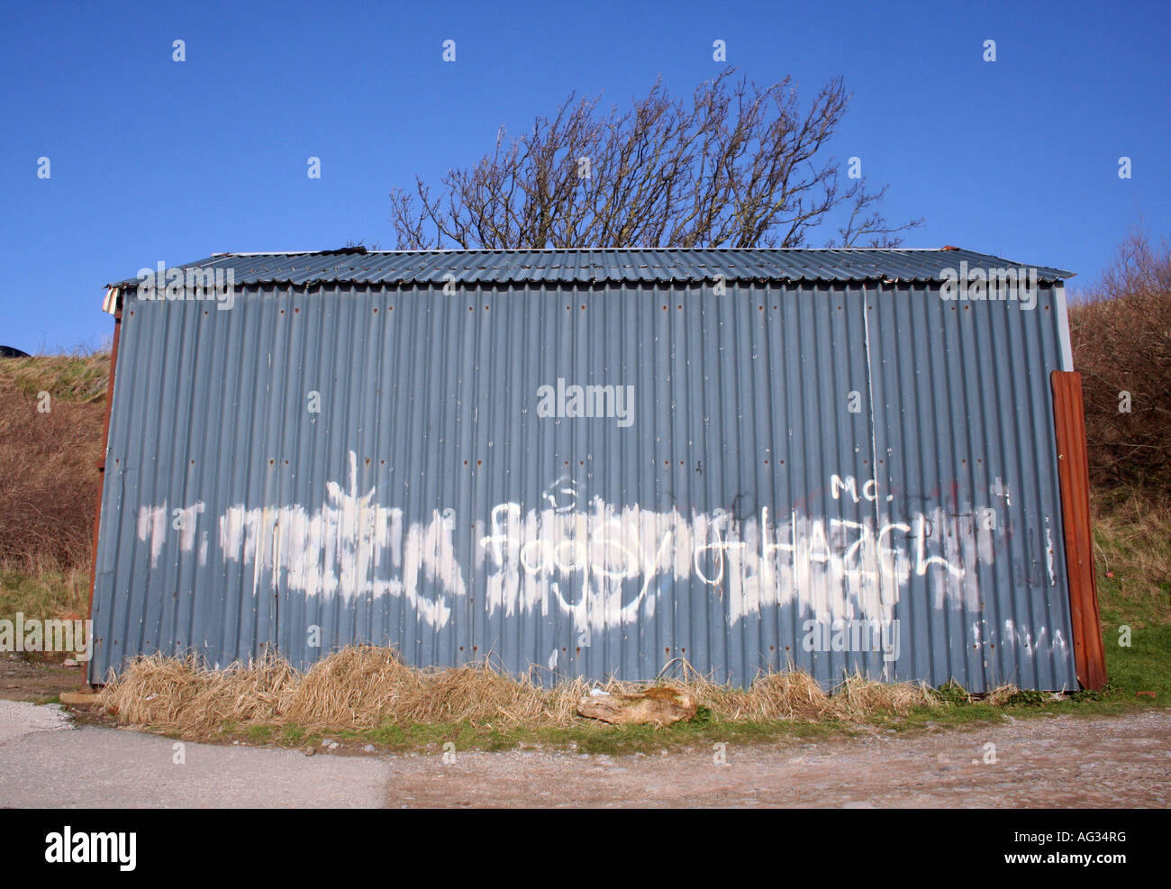 Blue shed on the beach Stock Photo - Alamy