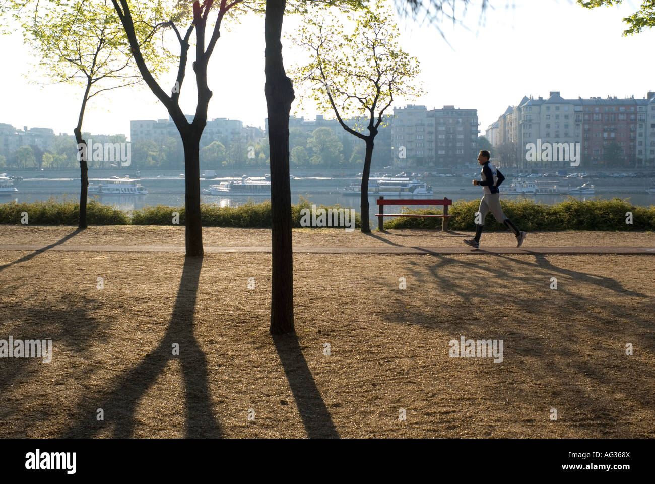 Runner Margaret Island Margitsziget Budapest Hungary Stock Photo - Alamy
